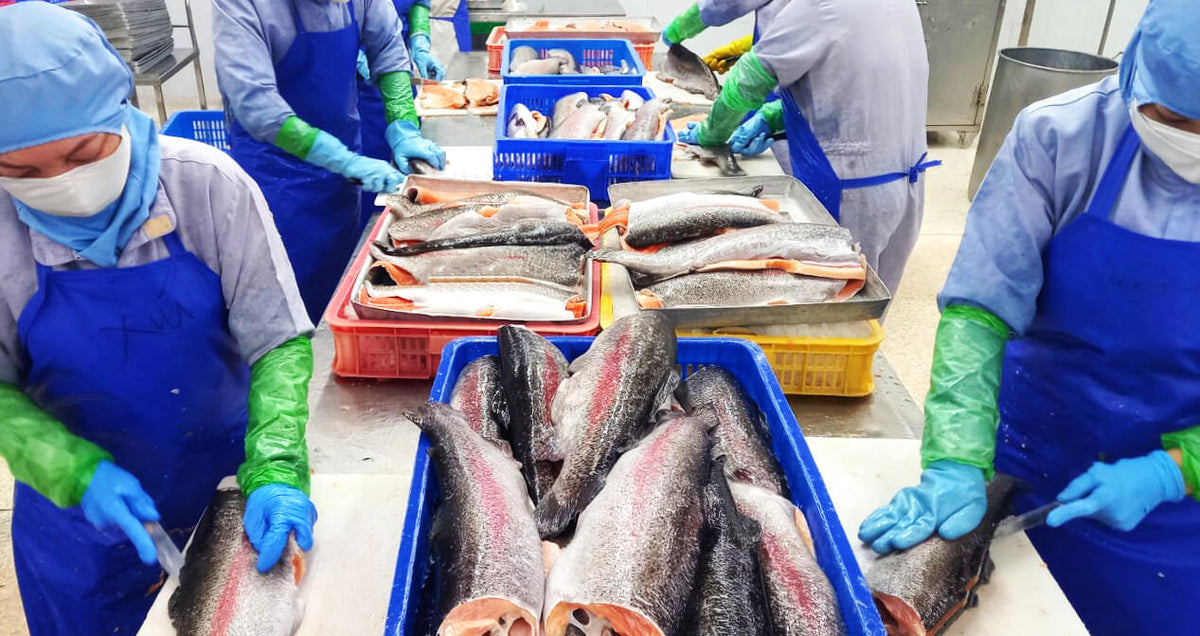 Aramtec Blue Seafood | Food Service Company in UAE