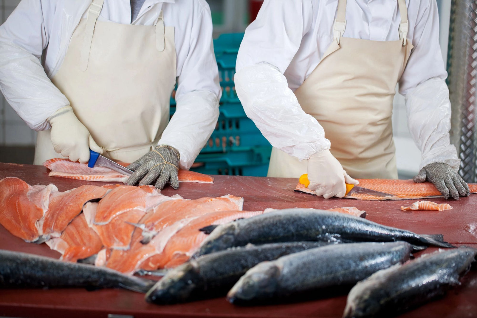 Aramtec Blue Seafood | Food Service Company in UAE